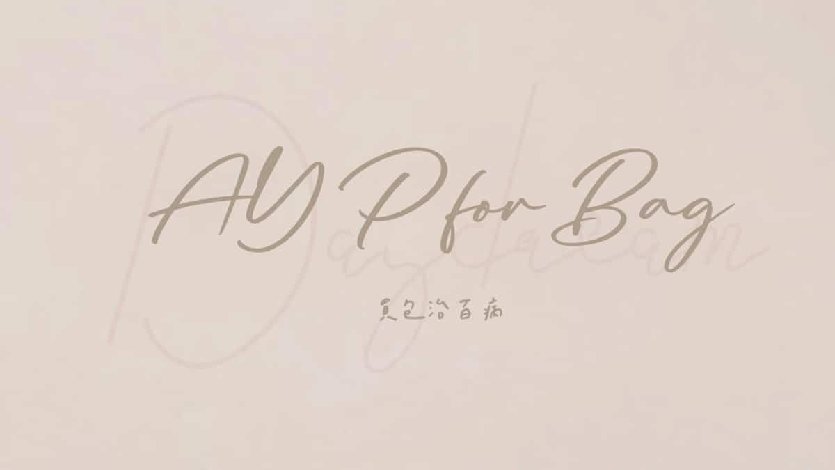 AYP for Bag-買包治百病