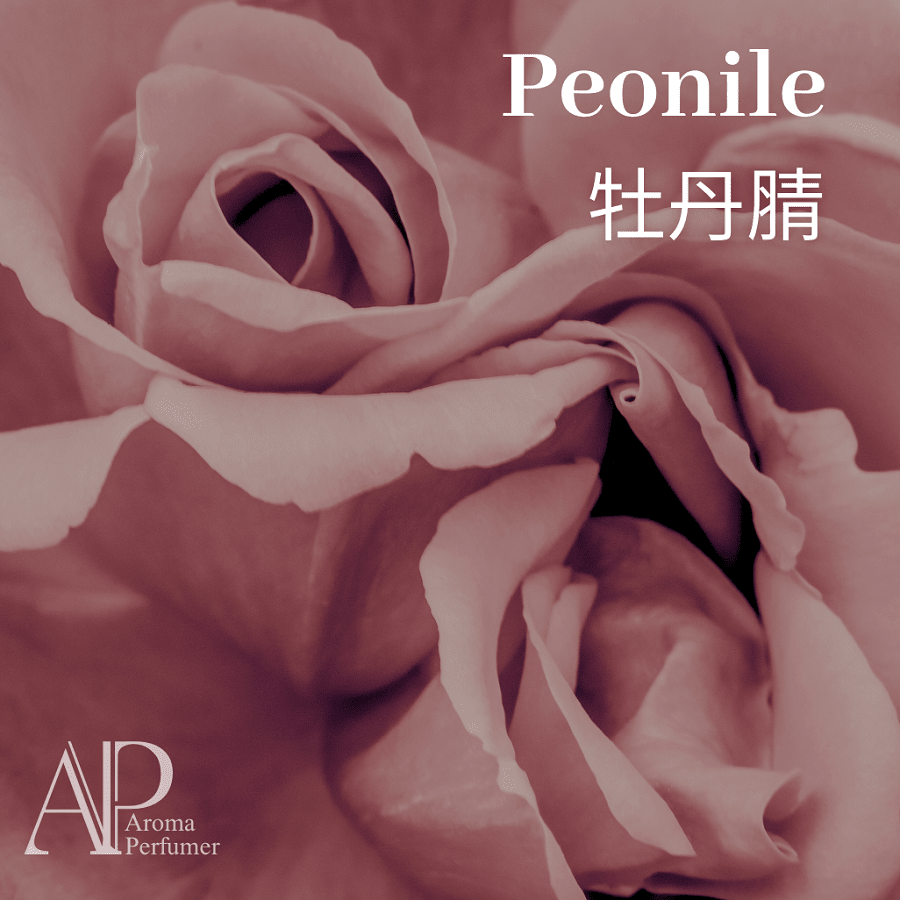 Aroma Perfumer 國際專業調香原料