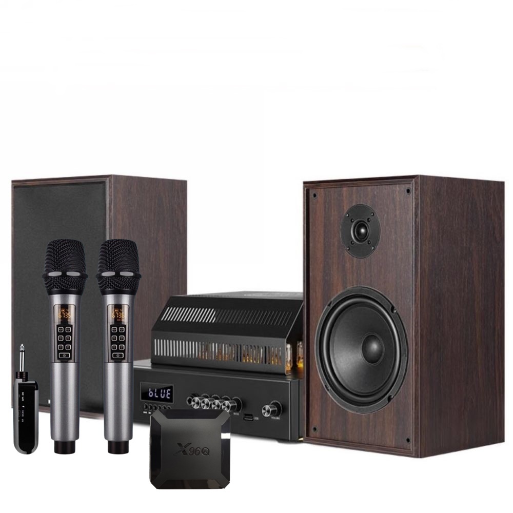 德國MBquartHiFi無損真空管KTV唱歌機K800