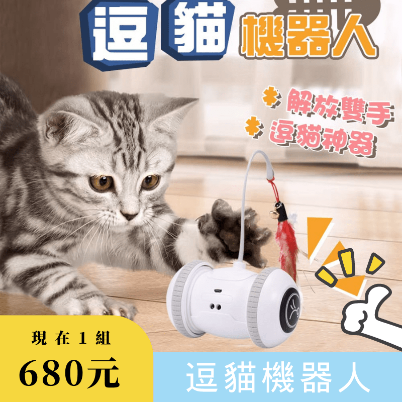 毛寶寶MOBOBO - 逗貓機器人