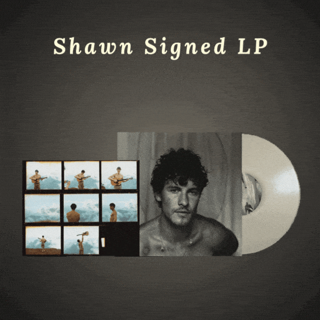 Shawn Mendes - Shawn signed vinyl